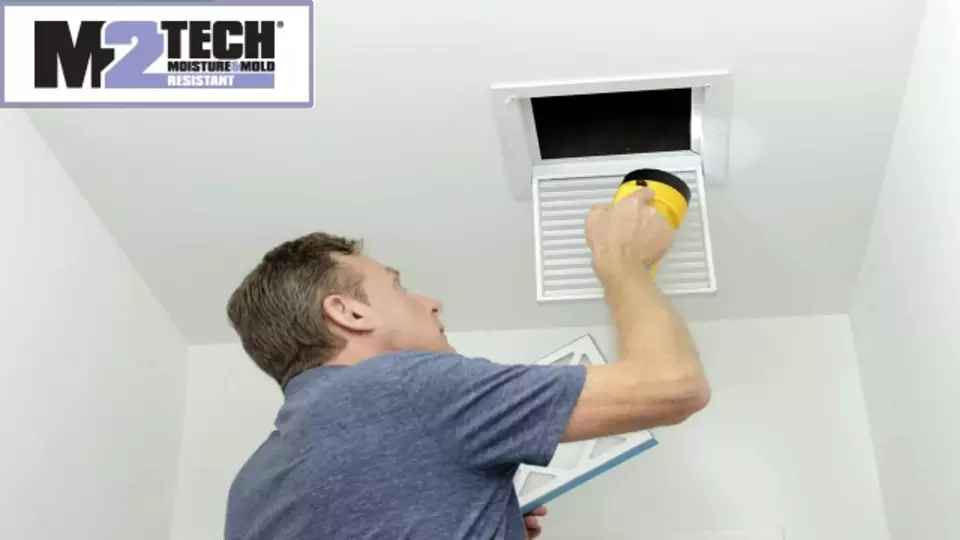 GET BUILDING MOISTURE AND MOLD UNDER CONTROL | Saint-Gobain Gyproc ...