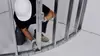 GYPWALL CURVE | AE Saint-Gobain